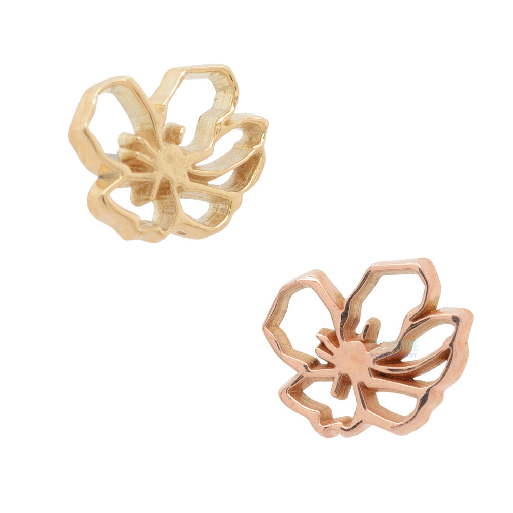 Maya Jewelry threadless: "Remain Open" End in Gold – Starfire Body ...