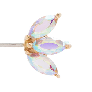 PIERCING - Ear: Industrial – Starfire Body Jewelry Company