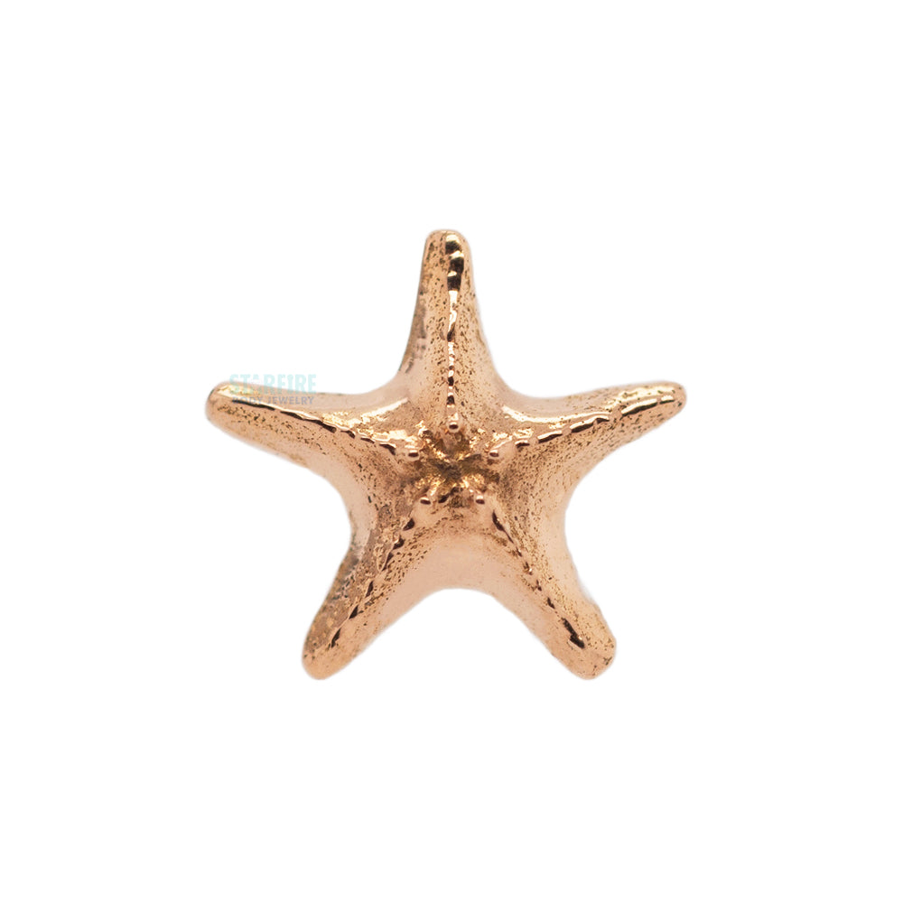 Anatometal Sea Star Threaded End in Gold – Starfire Body Jewelry Company