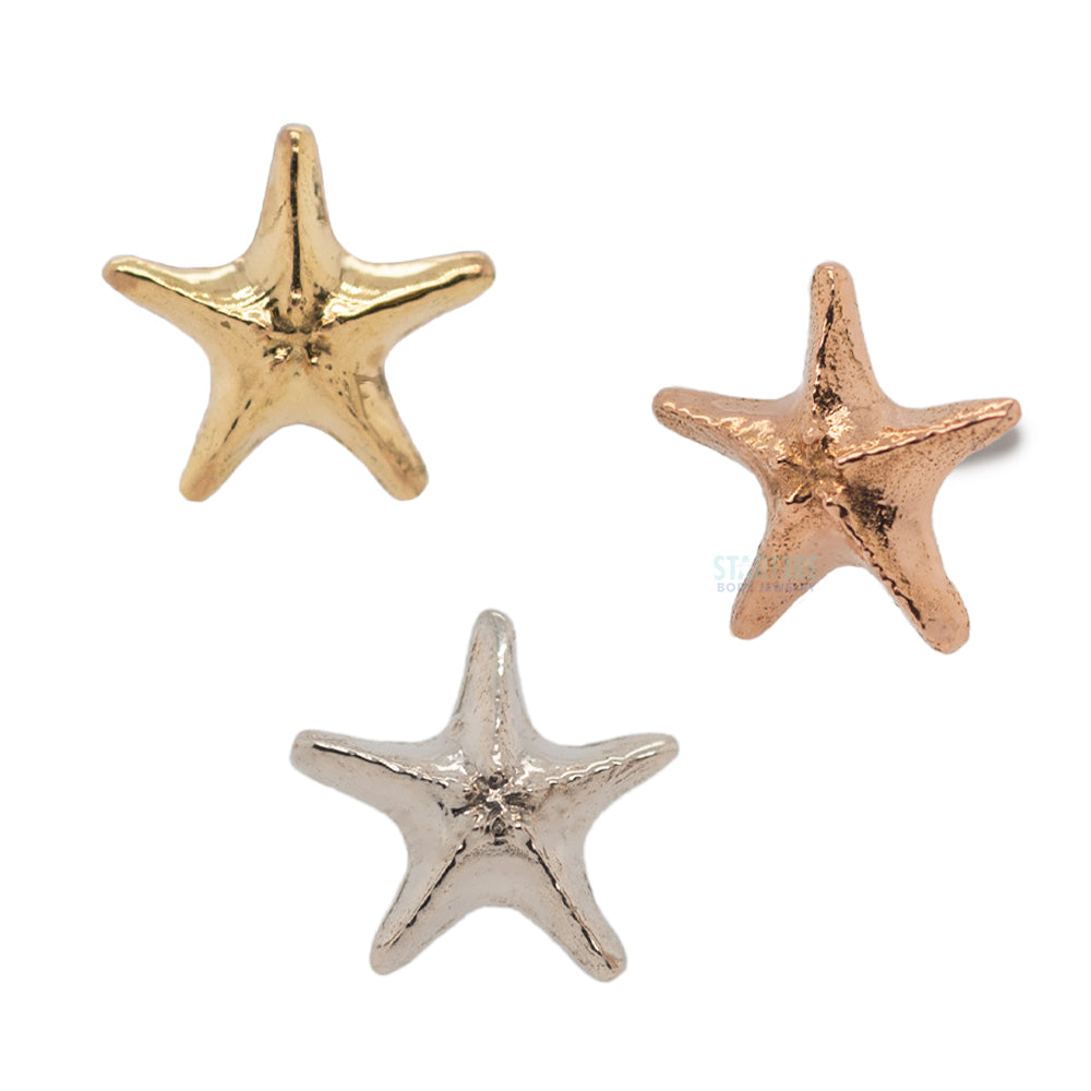 Anatometal threadless: Sea Star End in Gold – Starfire Body Jewelry Company