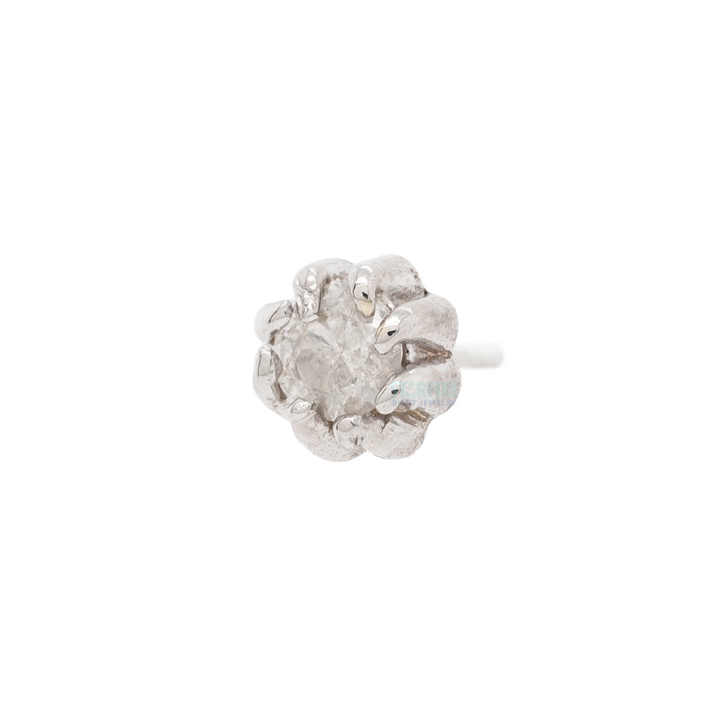 Tawapa threadless: "Adore" Pin in Gold with Gemstone – Starfire Body ...
