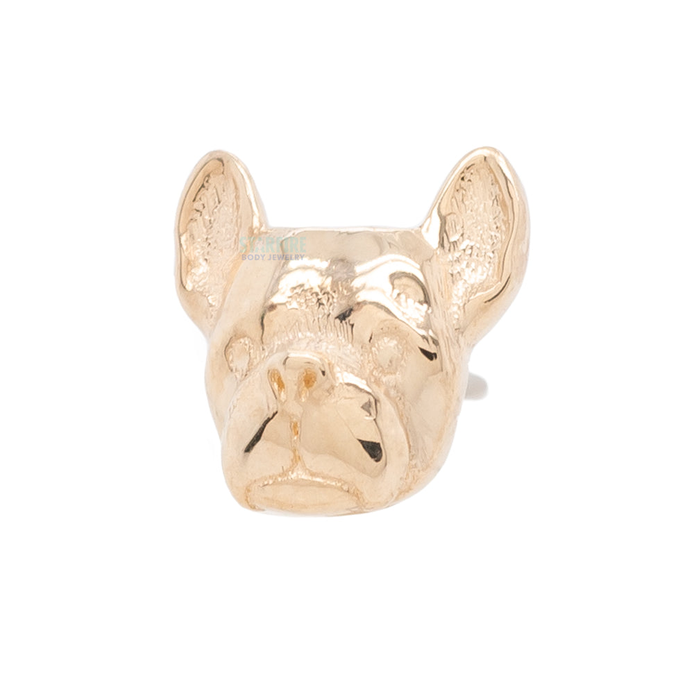 Dog Body Jewelry Amazon.com: Little Dog Nose Stud, Sterling Silver