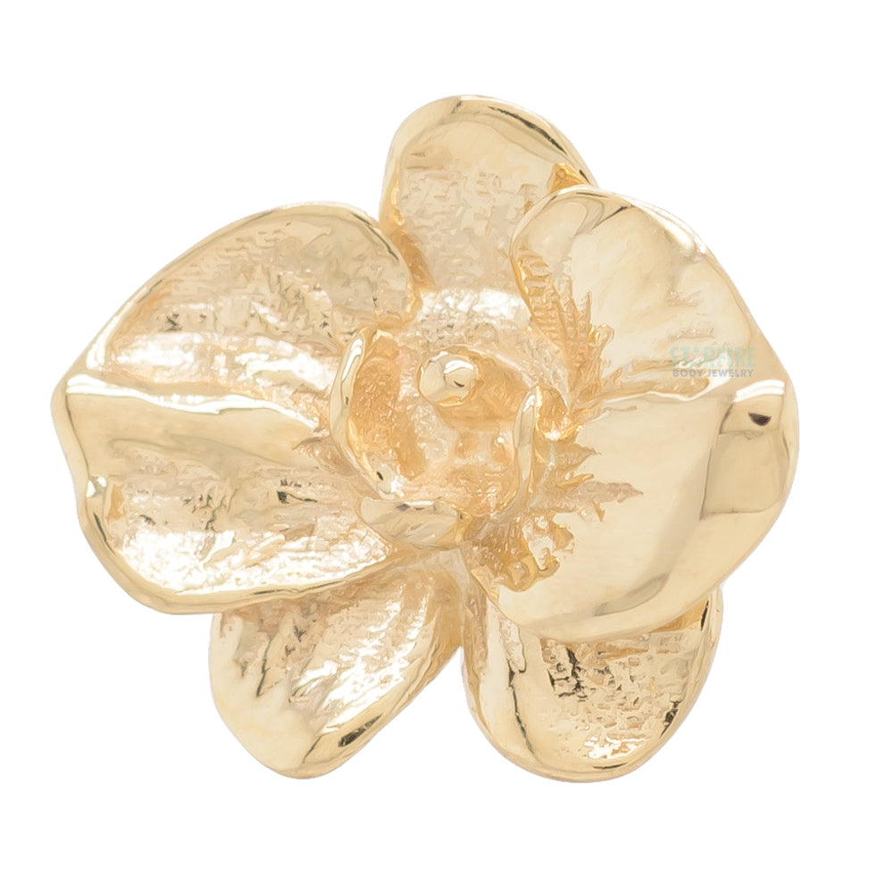 Tawapa threadless: Orchid Pin in Gold – Starfire Body Jewelry Company